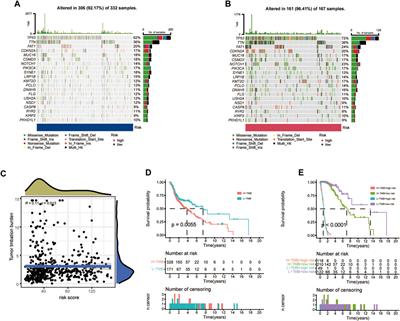 Frontiers | Machine learning-based identification of a consensus immune-derived gene signature ...